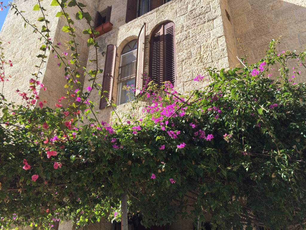 An Inheritance in the Land | Michal Horowitz