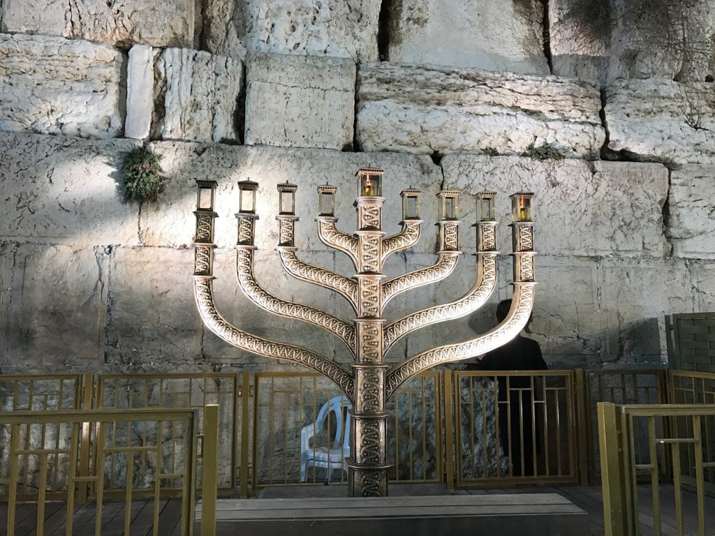 Parshas Mikeitz: Recognizing Our Brothers | Michal Horowitz