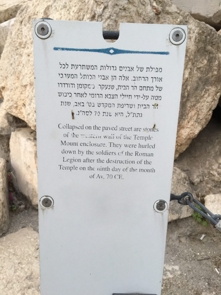 Parshas Vayigash: Over These I Cry | Michal Horowitz