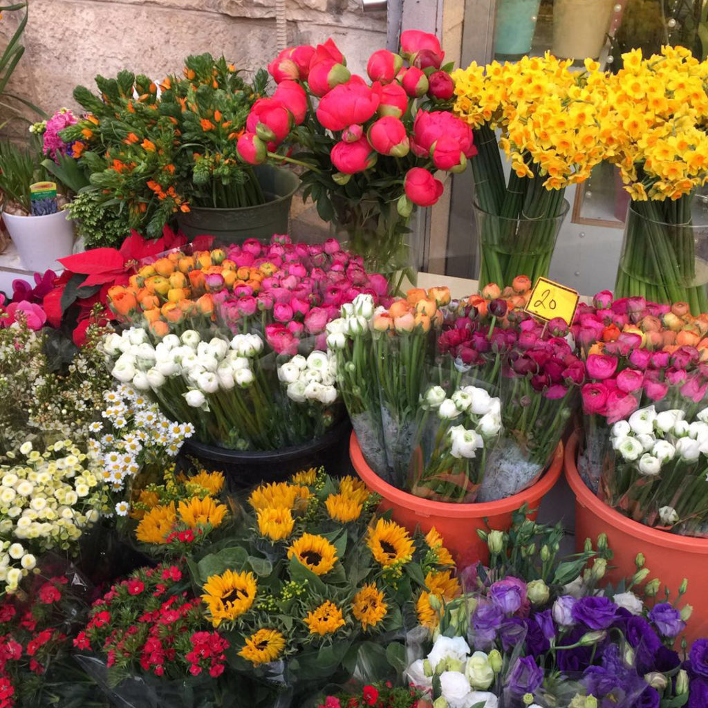 Parshas Yisro: A Covenant of Life | Michal Horowitz